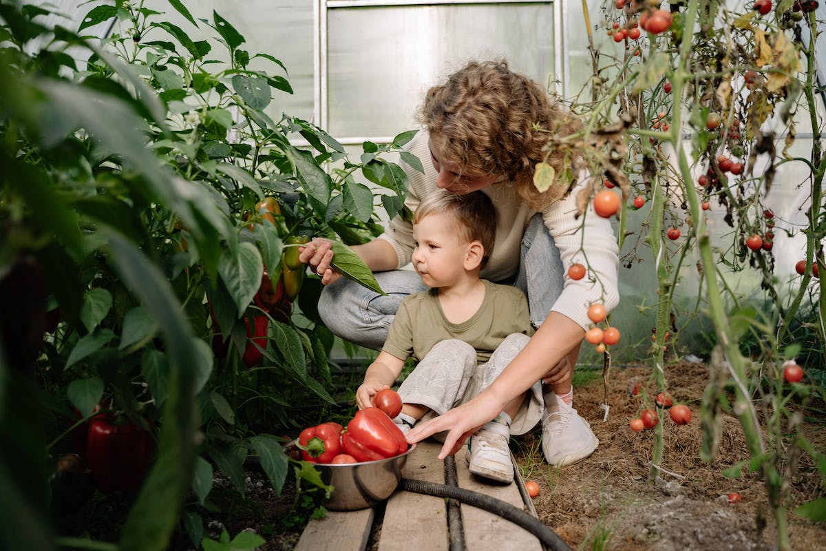 Fall Nutrition Tips for Creating Healthy Meals that Children Love ...